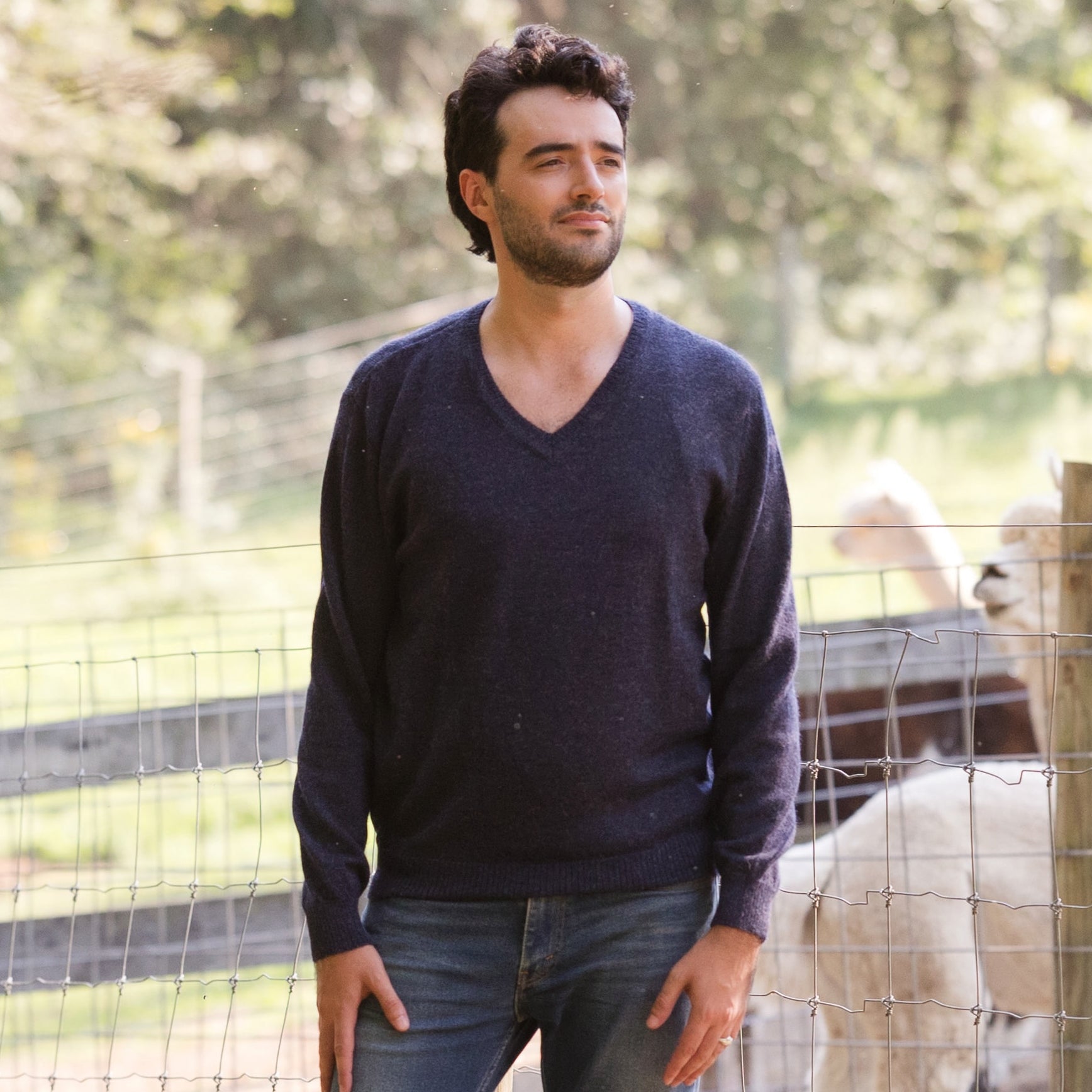 Alpaca Sweaters - Men's | Fluff Alpaca